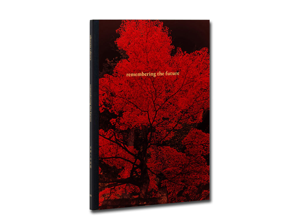 Ángel Albarrán and Anna Cabrera – Remembering the Future – Perimeter ...